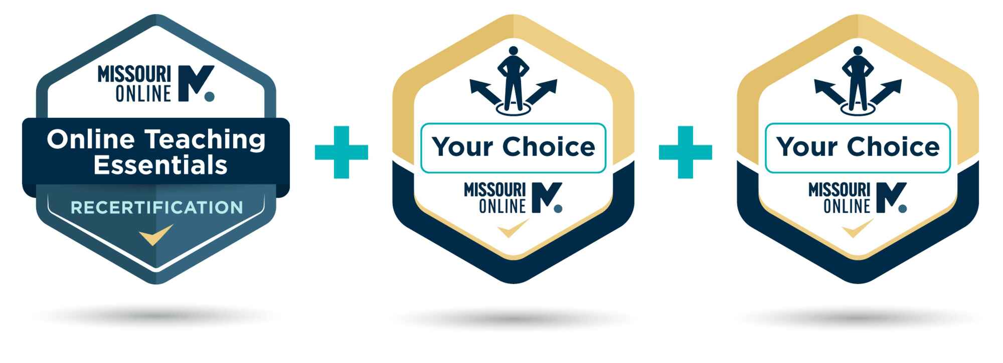 Online Teaching Recertification Programs | Mizzou Online: Teaching